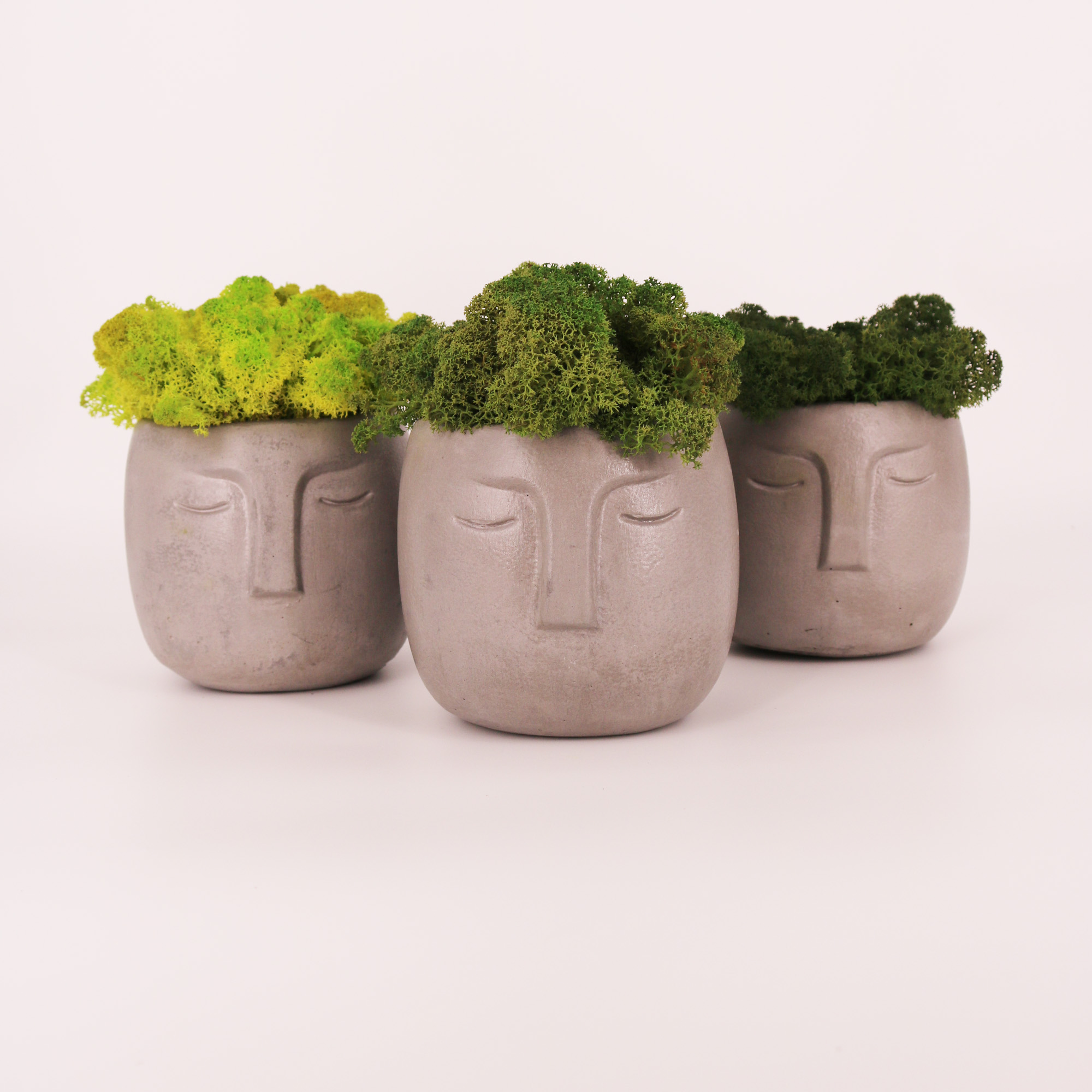 Prodavnica - Mossart