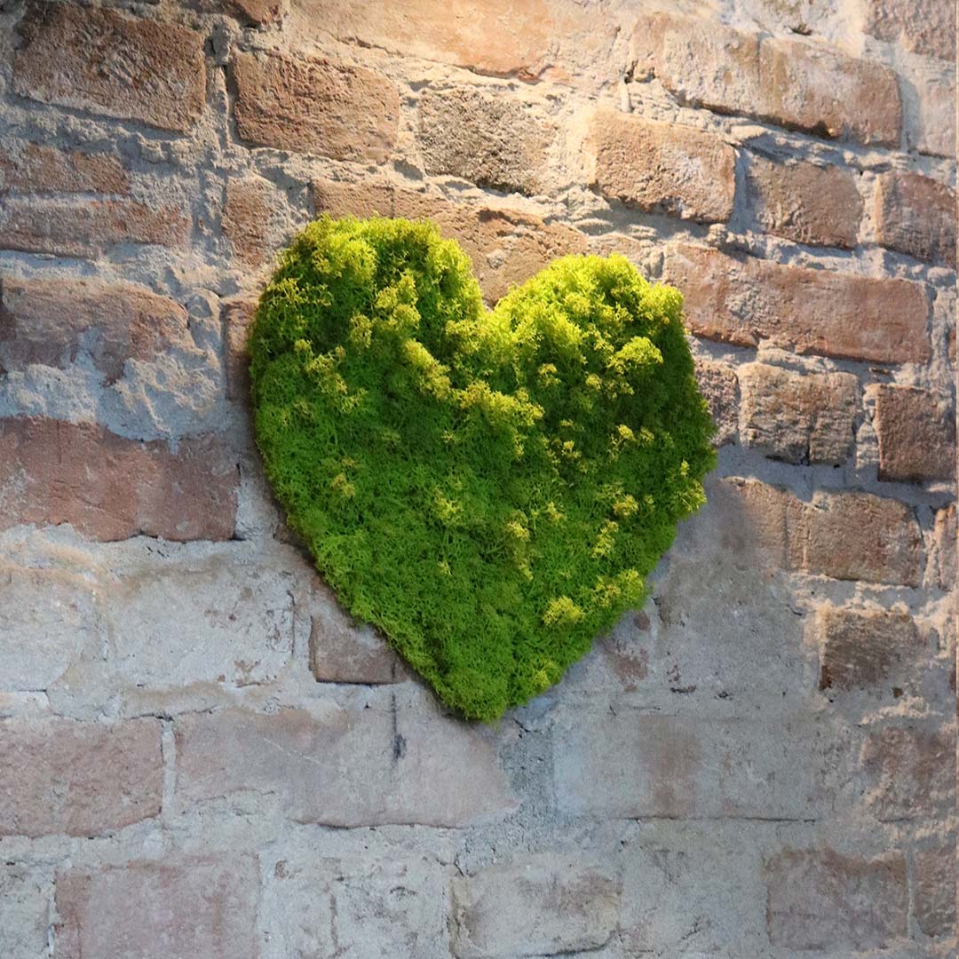 Mossheart Tandem - Mossart